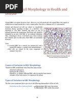 Interpreting Idexx Procyte DX Hematology Analyzer Dot Plots | PDF ...