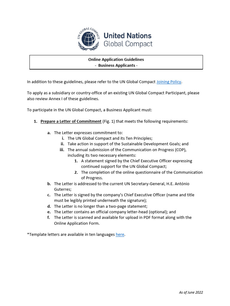 UN Global Compact Application Guidelines | PDF