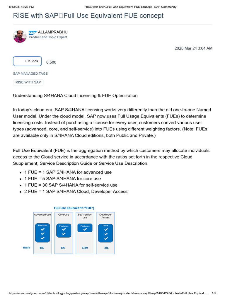 RISE With SAP - Full Use Equivalent FUE Concept - SAP Community | PDF ...