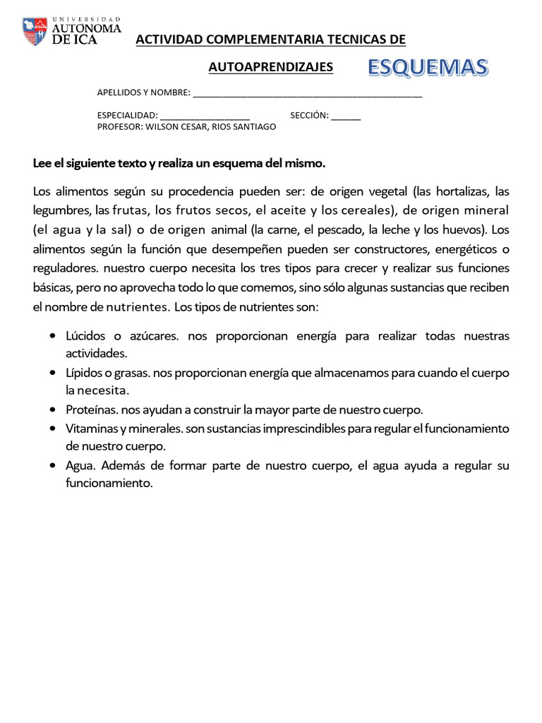 Actividad Complementaria de Mapa Conceptual | PDF