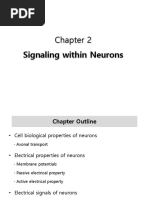 Metaneuron Manual | PDF | Inhibitory Postsynaptic Potential | Membrane ...