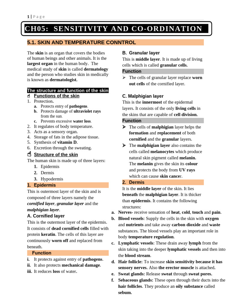 Skin and Temperature Control | PDF | Ear | Skin