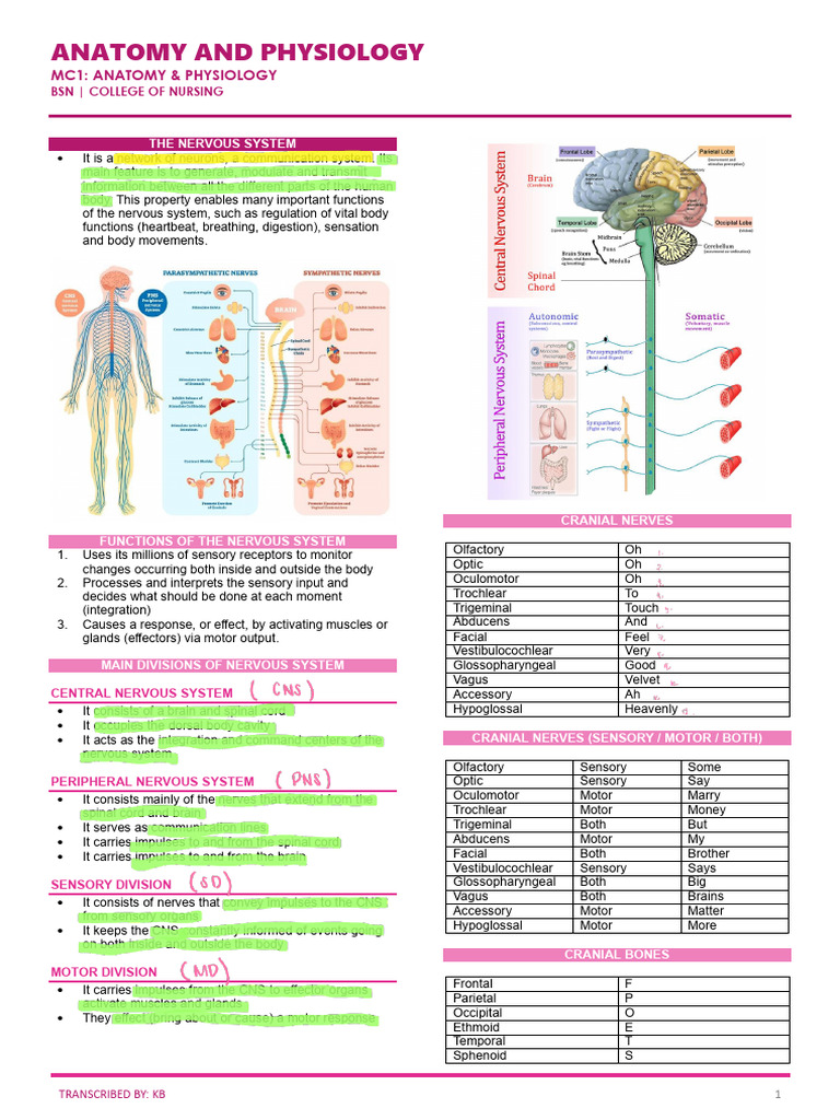 Anaphy - 02 Systems Overview | PDF | Coagulation | Lung