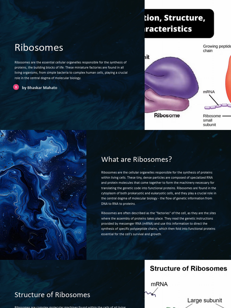 Ribosomes: Key to Protein Synthesis | PDF | Ribosome | Translation ...
