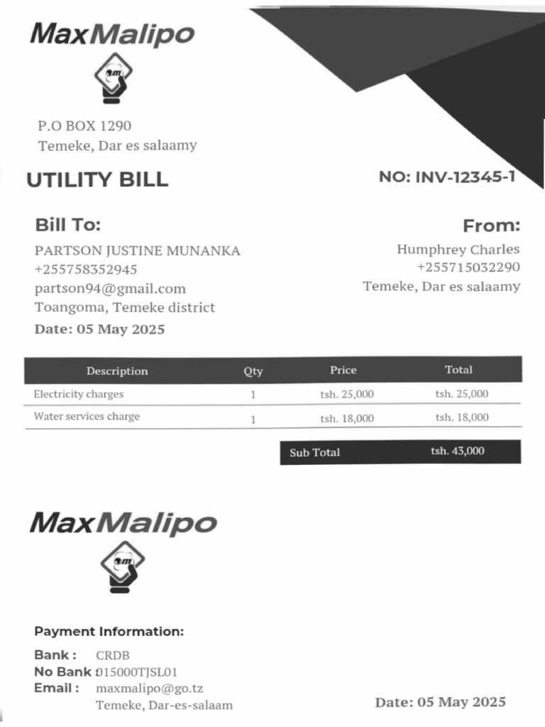 Utility Bill | PDF