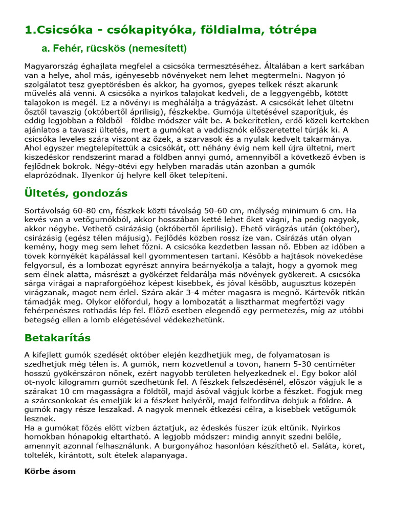 Csicsóka És Pityóka | PDF