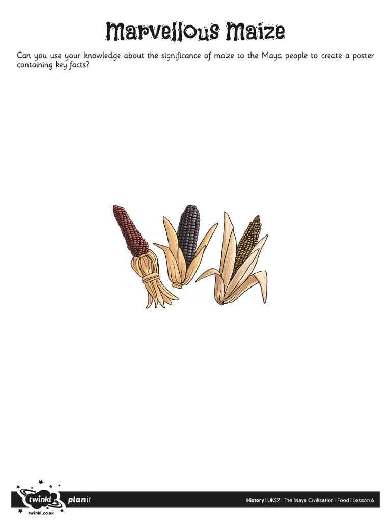 Activity Sheet Marvellous Maize | PDF