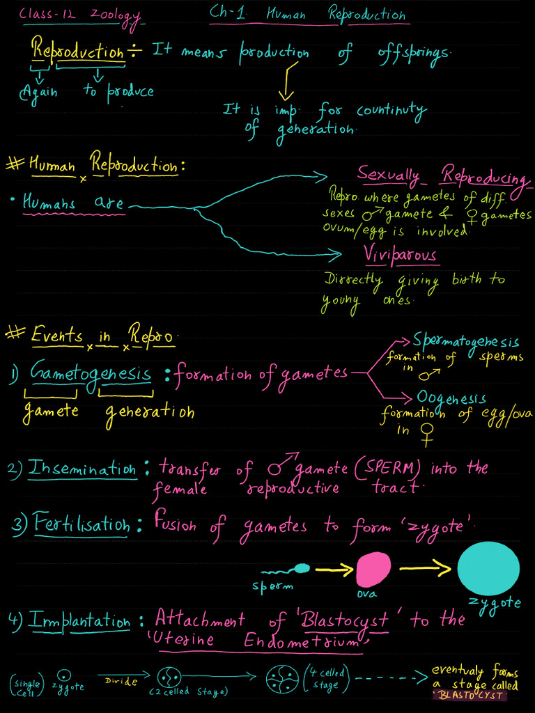 Zoology Class12 | PDF