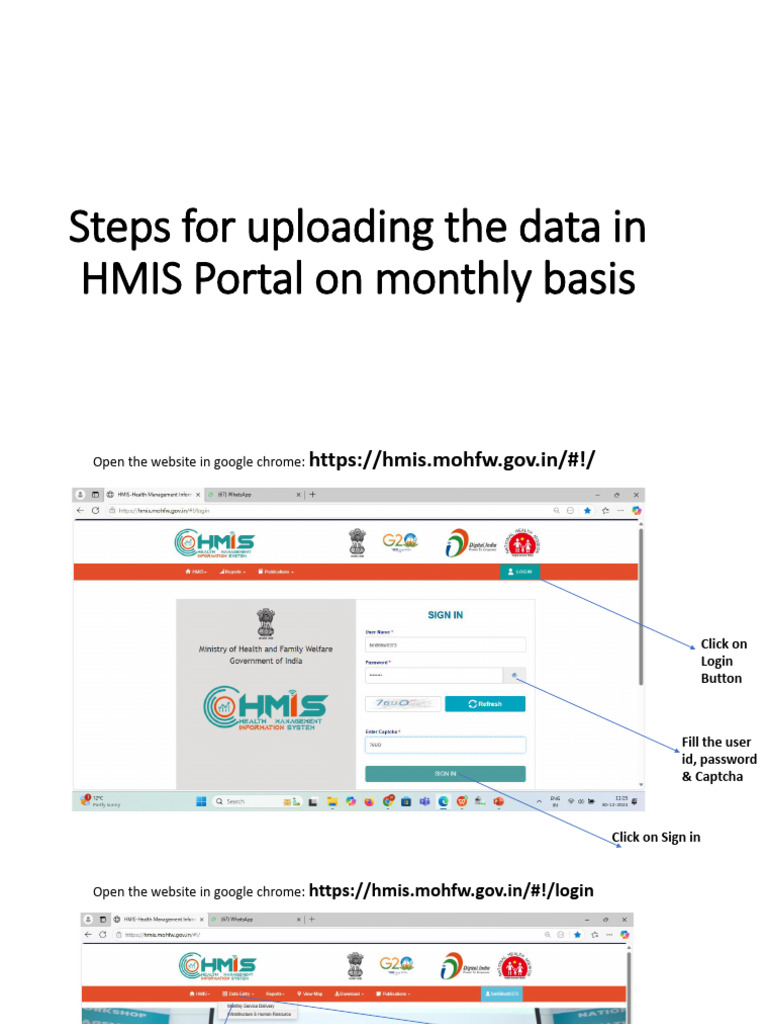 Monthly Data Entry in HMIS Portal | PDF
