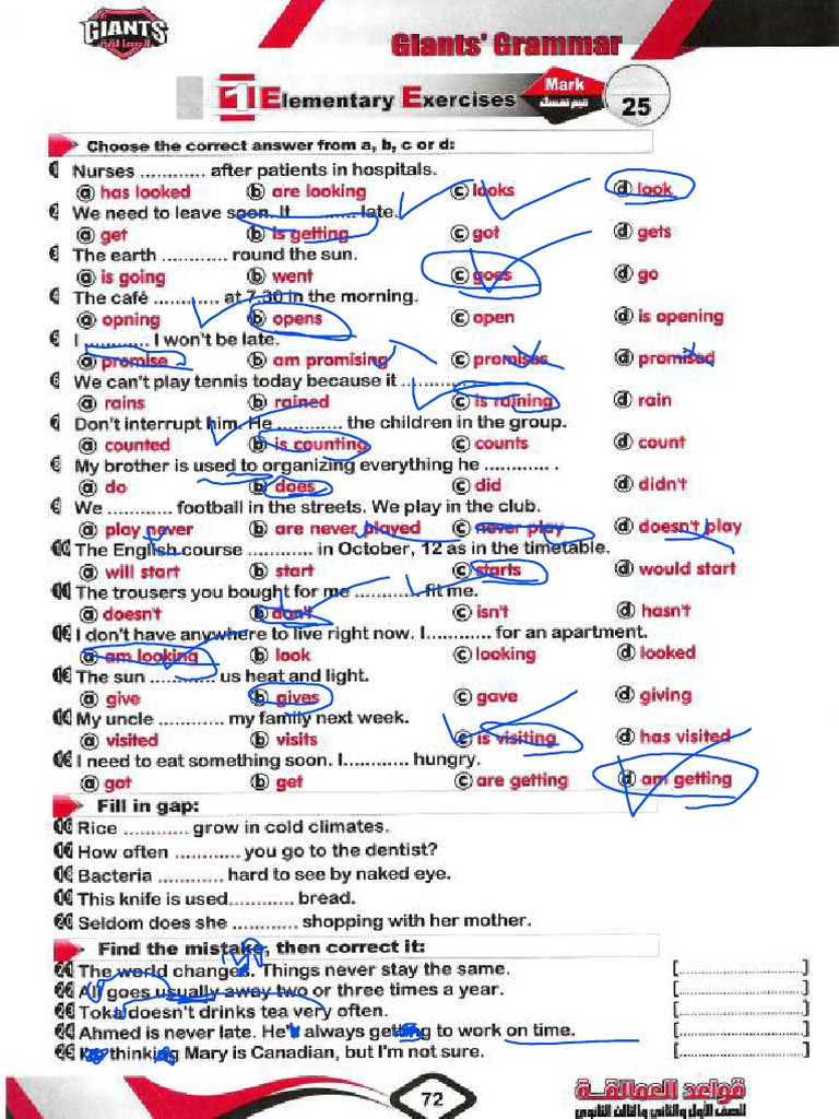 Giants Grammar (Present (Simple& Continuous) +future) | PDF