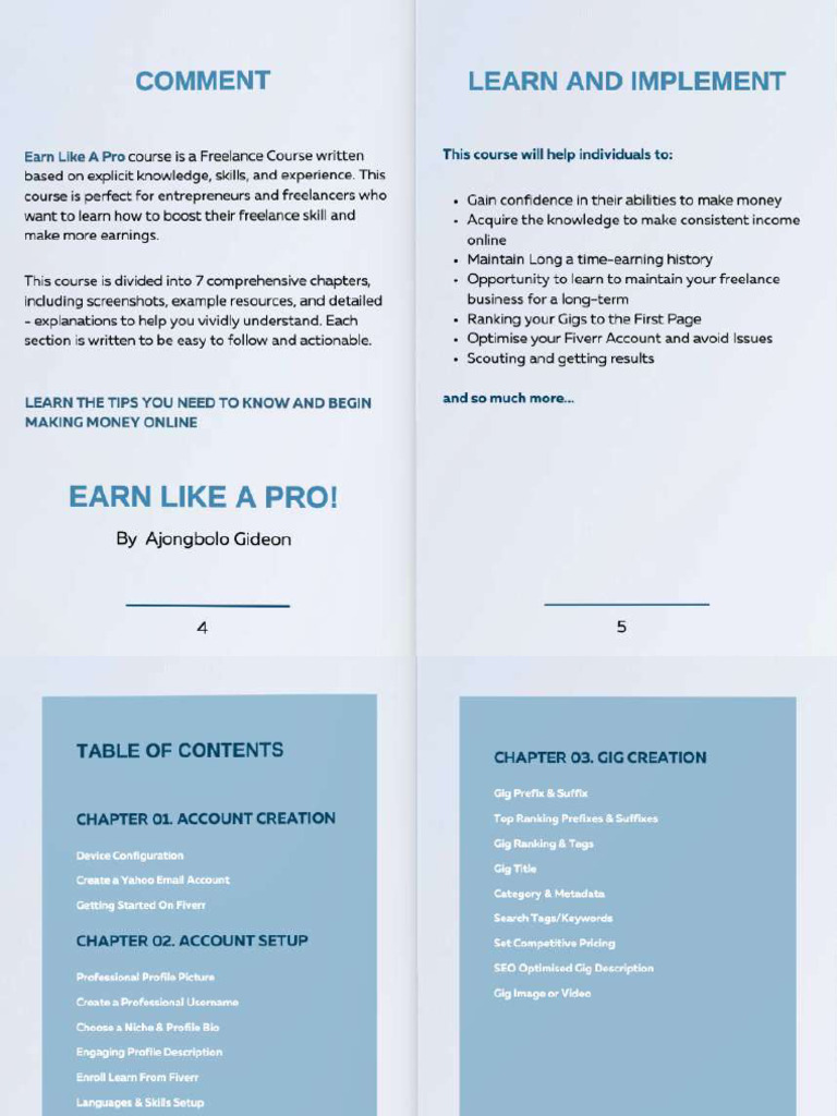 Earn Like A Pro by MR Gideon | PDF