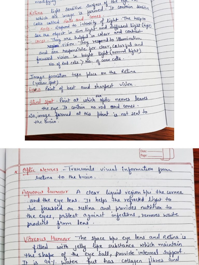 Class 10 Physics | PDF