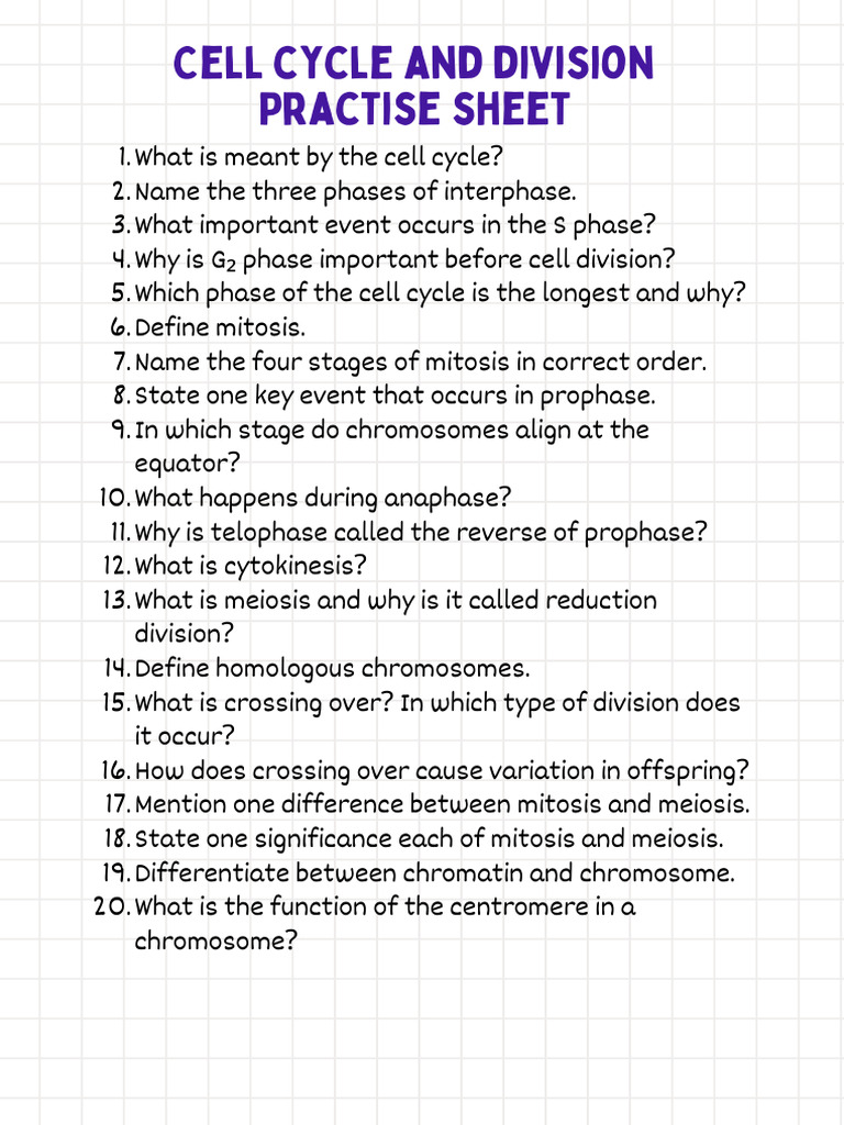 Bio Chapter 1 Practise Sheet | PDF | Mitosis | Meiosis