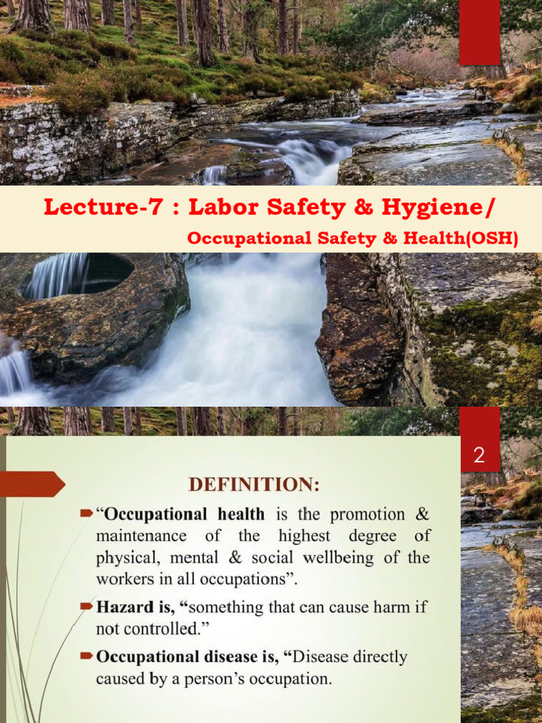 Lect 7 IHS | PDF