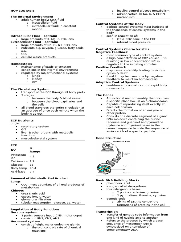 Homeostasis and Genetic Disorders Overview | PDF | Messenger Rna ...