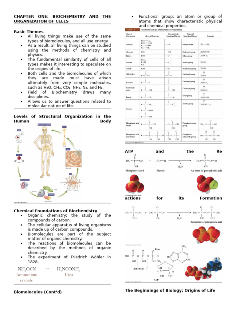 Biochem Reviewer | PDF | Chemical Polarity | Chemical Bond