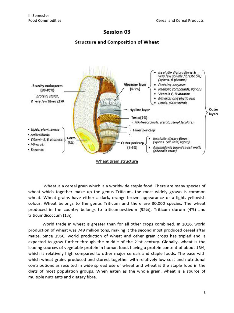Structure and Composition of Wheat Grain | PDF | Flour | Wheat