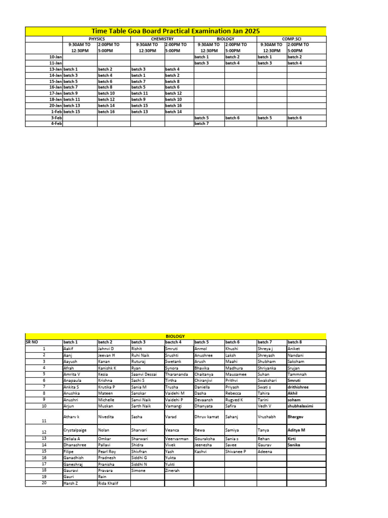 Final TT Goa Board Practical Jan 2025-1 | PDF