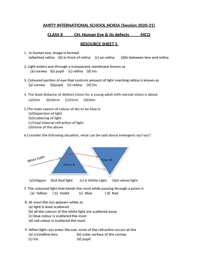 Human Eye Resource Sheet 5 | PDF | Eye | Visual System
