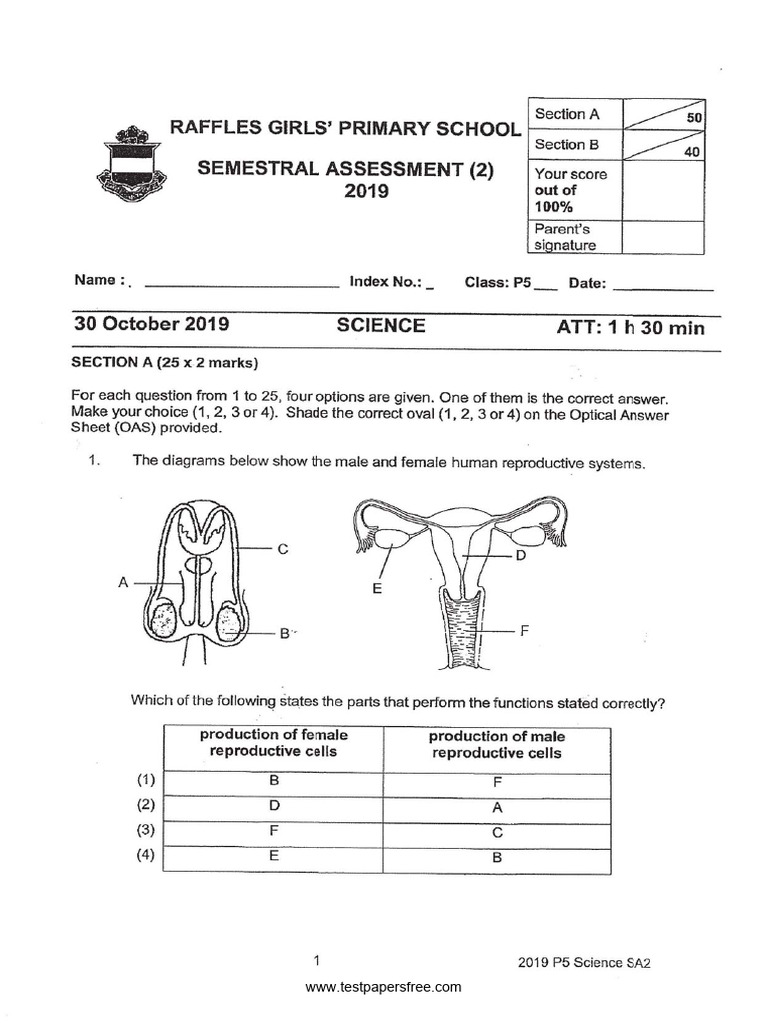 P5 Science 2019 SA2 Raffles Girls | PDF