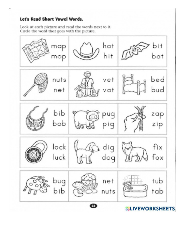 Read Short Vowel Words Worksheet | PDF