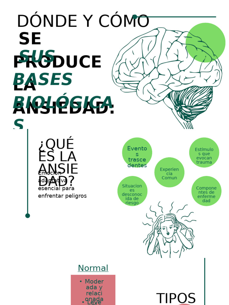 La Ansiedad | PDF | Ansiedad | Cerebro