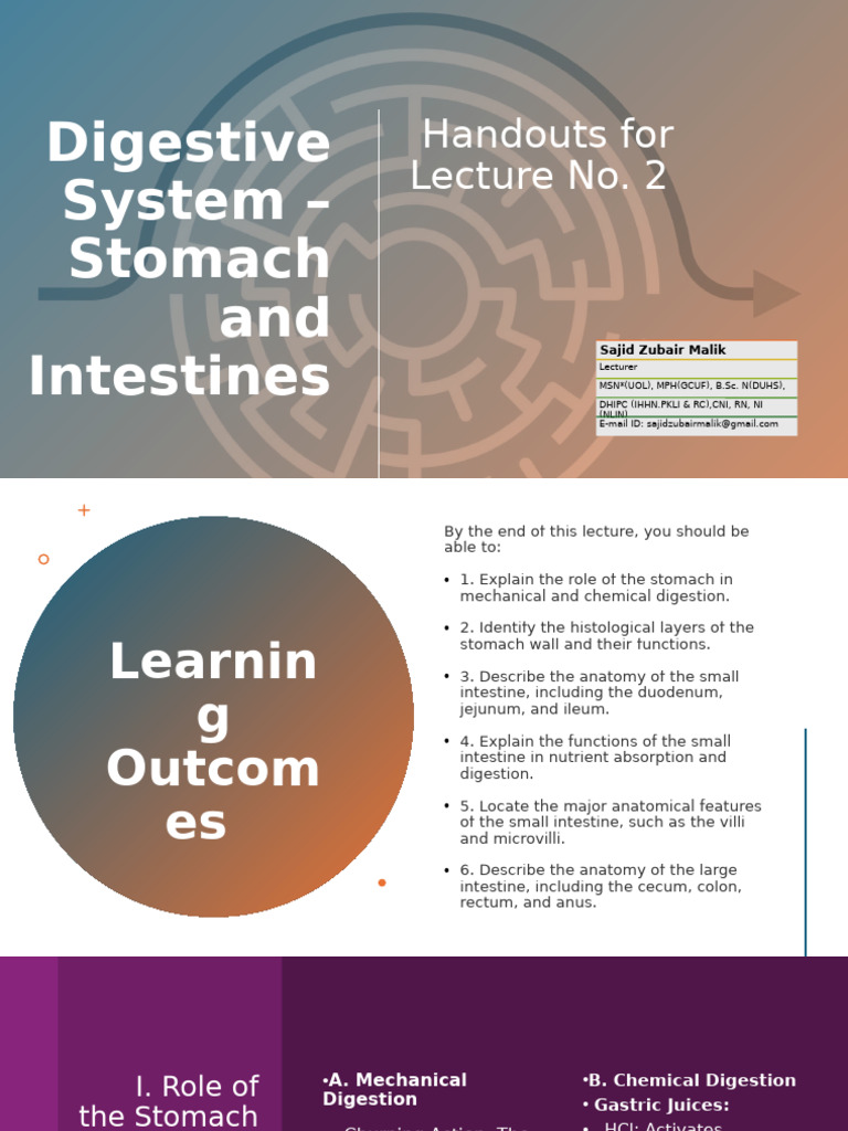 UNIT 2 Lec 2 Digestive System - Stomach and Intestines | PDF | Small ...