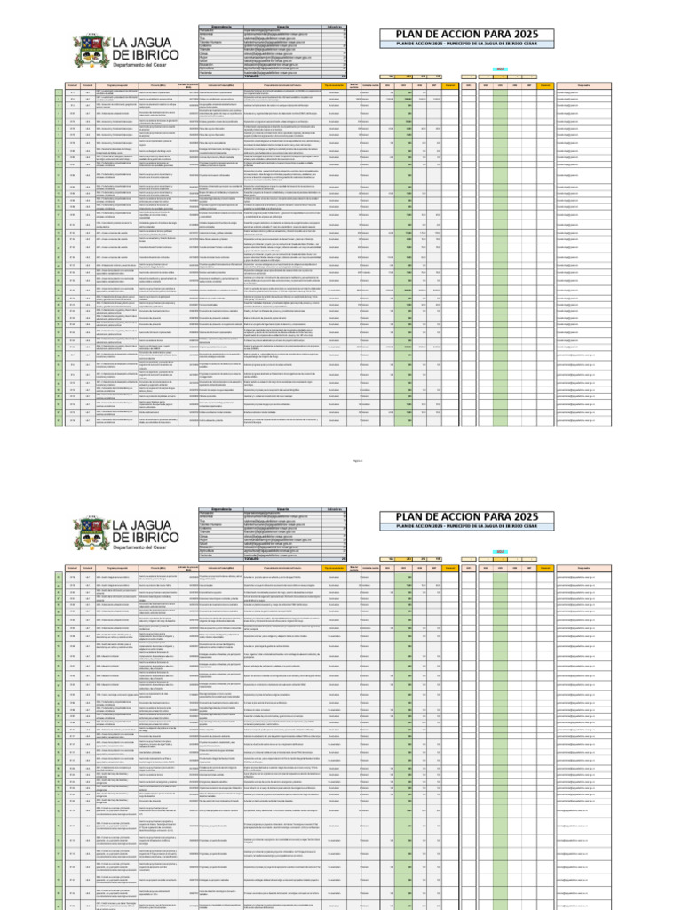 73152_1 Plan de Accion Metas a Ejecutar Del Plan de Desarrollo 2025 LA ...