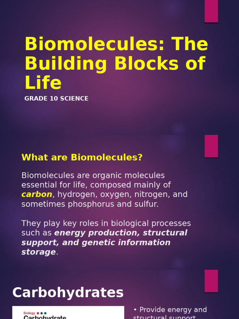 Essential Biomolecules for Life | PDF