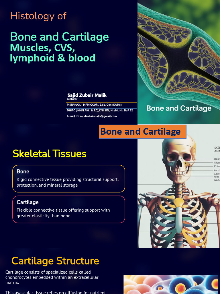 Histology of Bone, Cartilage, and Muscle | PDF | Bone | Cardiac Muscle