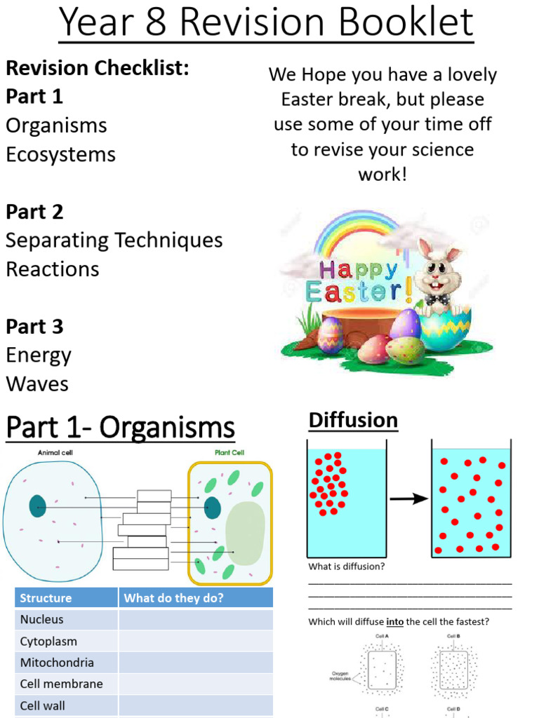 Year 8 Chemistry Revision Guide | PDF | Chemical Reactions | Photosynthesis