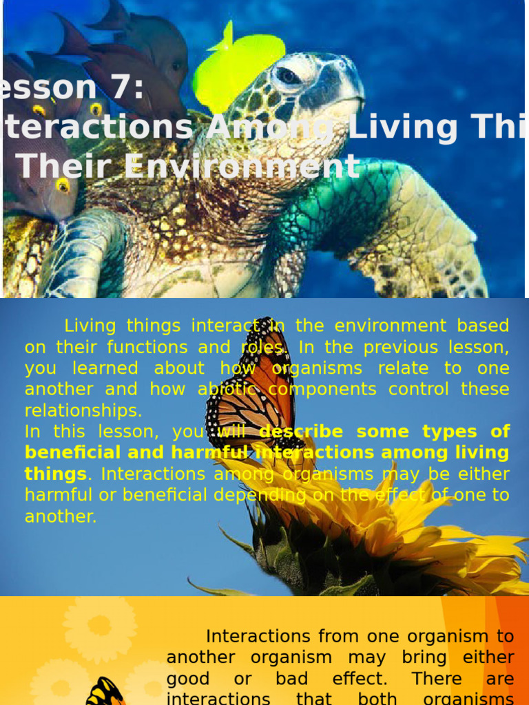 2Q-Science Slides Lesson7 | PDF | Predation | Parasitism