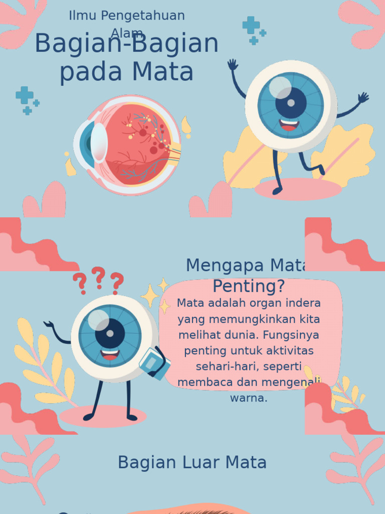 Anatomi dan Fungsi Bagian Luar Mata | PDF