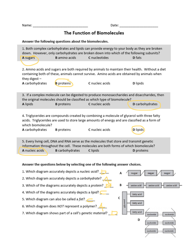 Biomolecule Functions and Diagrams | PDF | Biomolecules | Carbohydrates