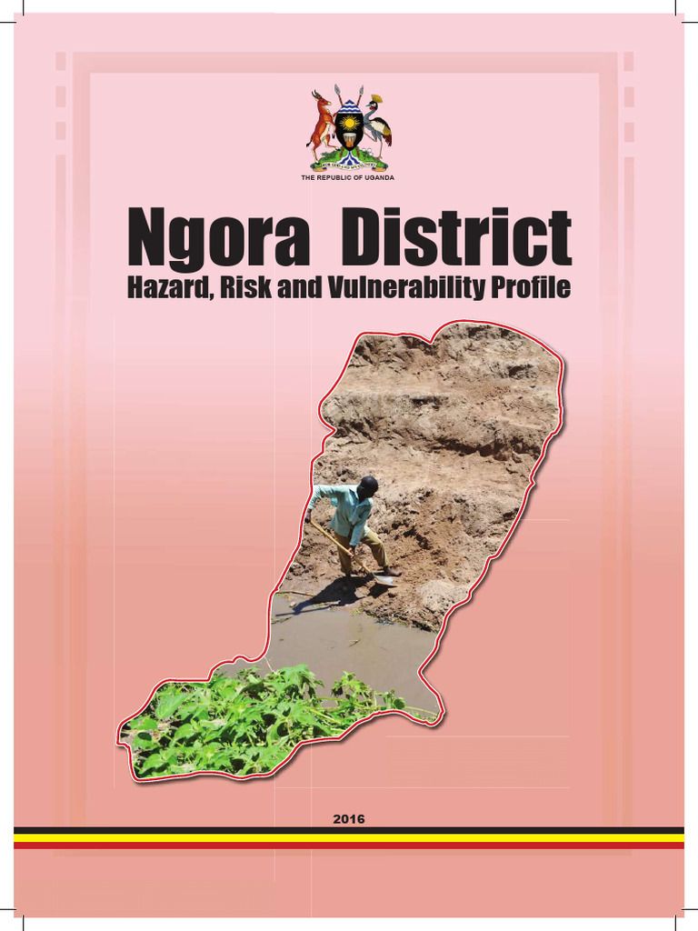 Ngora District HRV Profile | PDF | Hazards | Remote Sensing