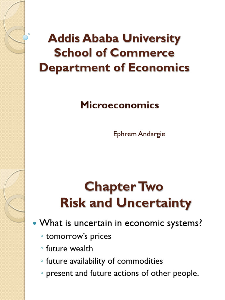 Understanding Risk Preferences in Economics | PDF | Risk Aversion | Utility
