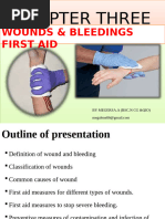 First Aid Training Overview and Principles | PDF | First Aid ...