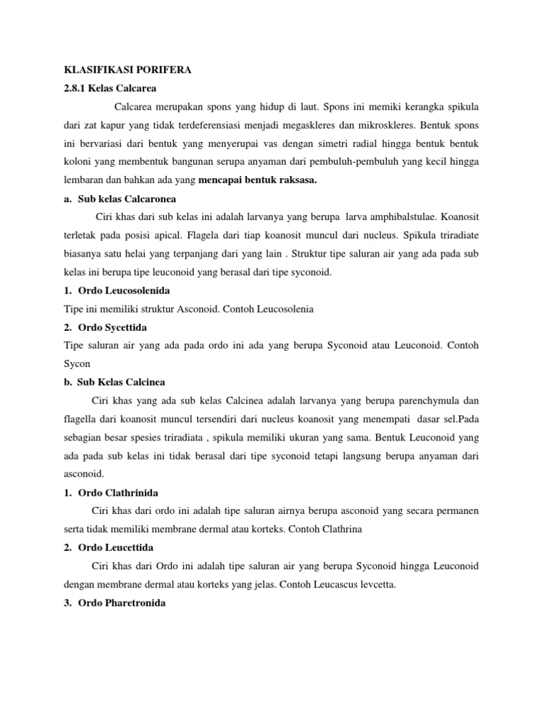Klasifikasi Porifera | PDF | Ilmu Sosial | Griya & Taman
