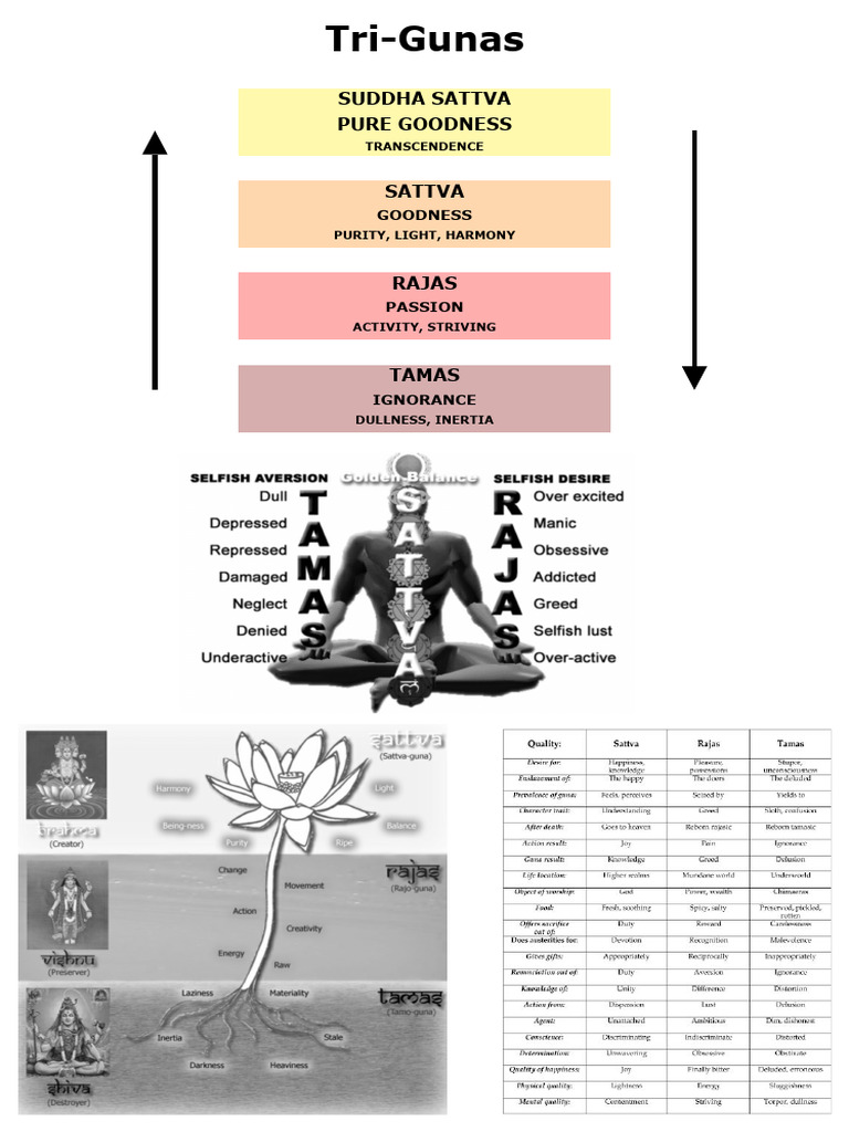 Tri-Gunas RGB A1 | PDF