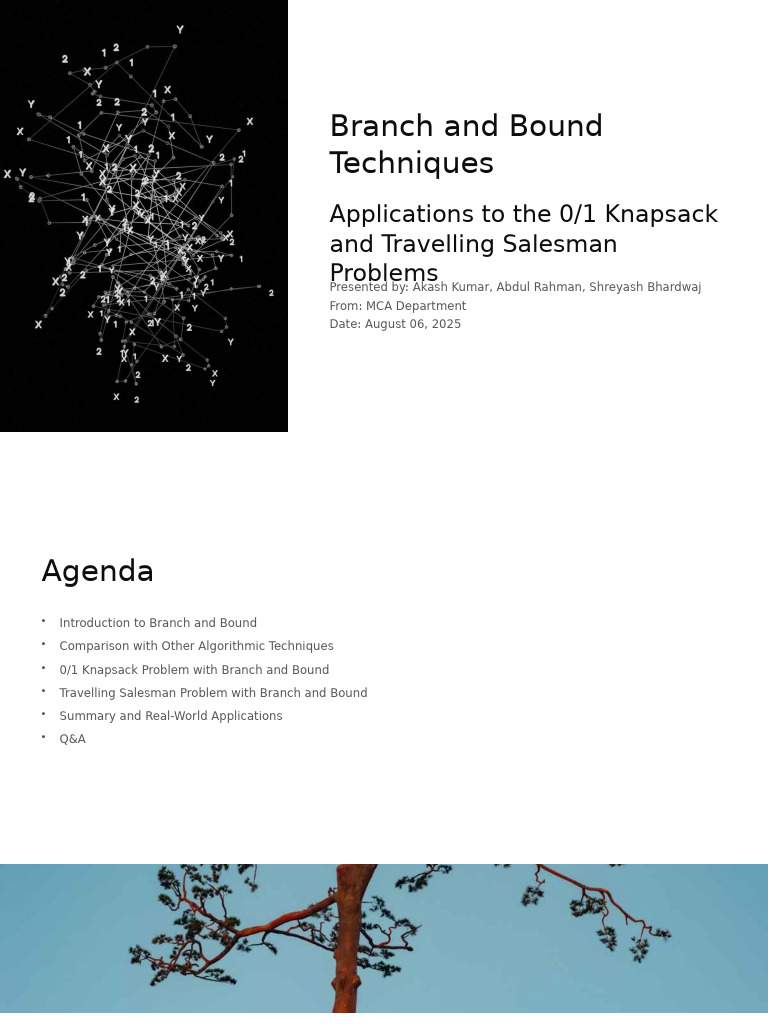 Branch and Bound for Optimization Problems | PDF | Computational ...