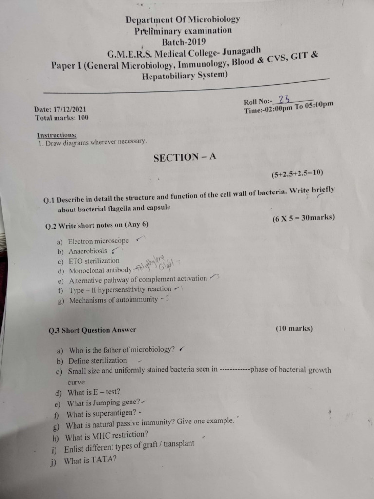 2019 Batch Prelim Papers | PDF