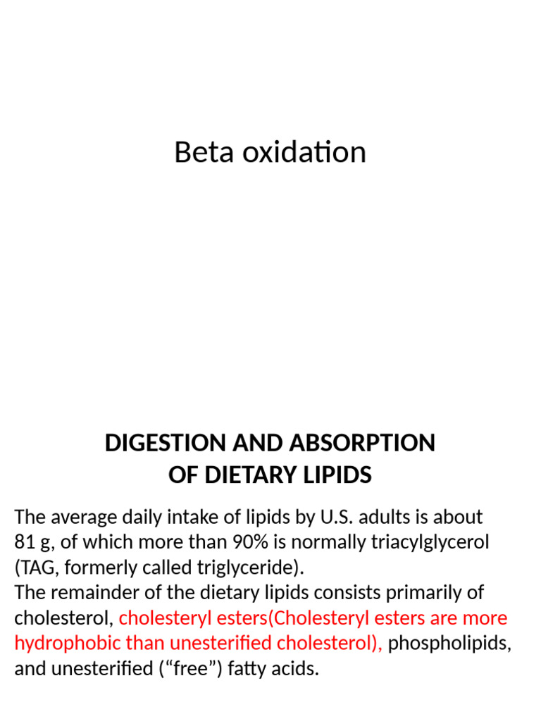 Lipid Digestion and β-Oxidation Process | PDF | Bile | Digestion