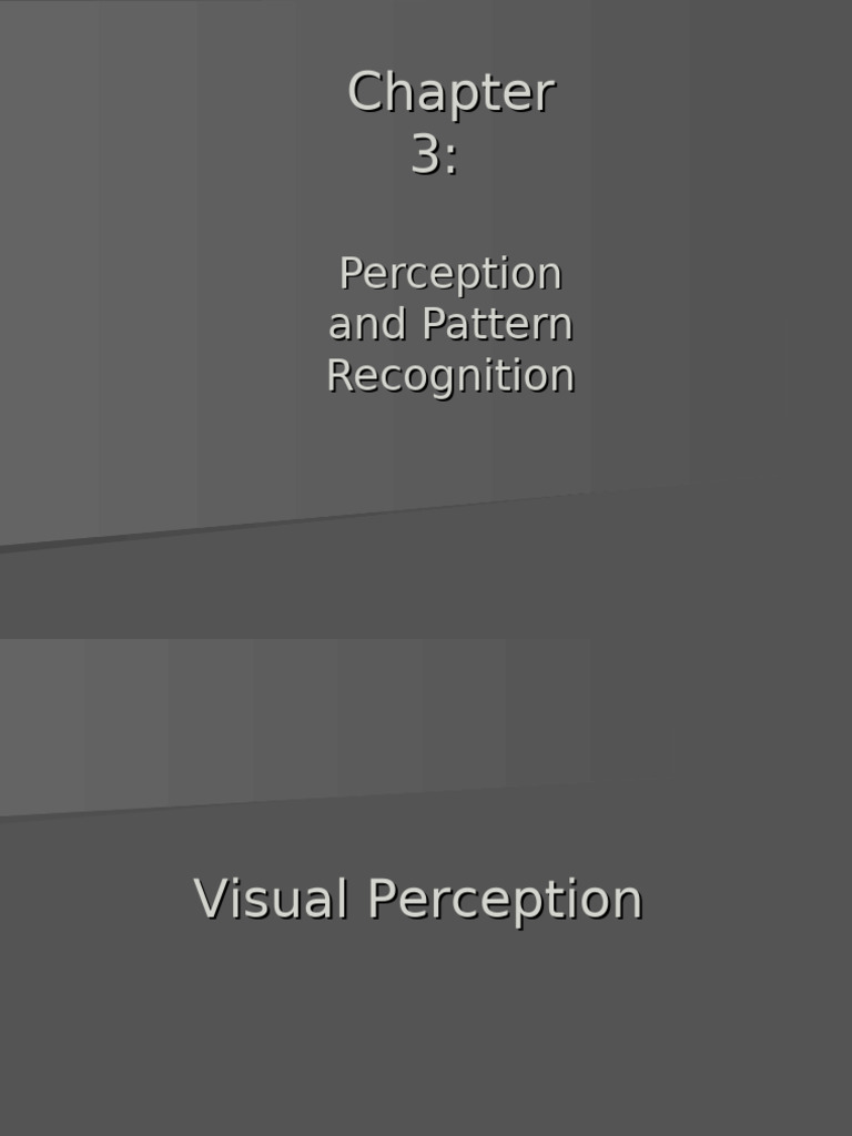 Visual Perception and Memory Processes | PDF | Visual Perception | Retina