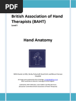 Thumb: Range of Motion | PDF | Thumb | Hand