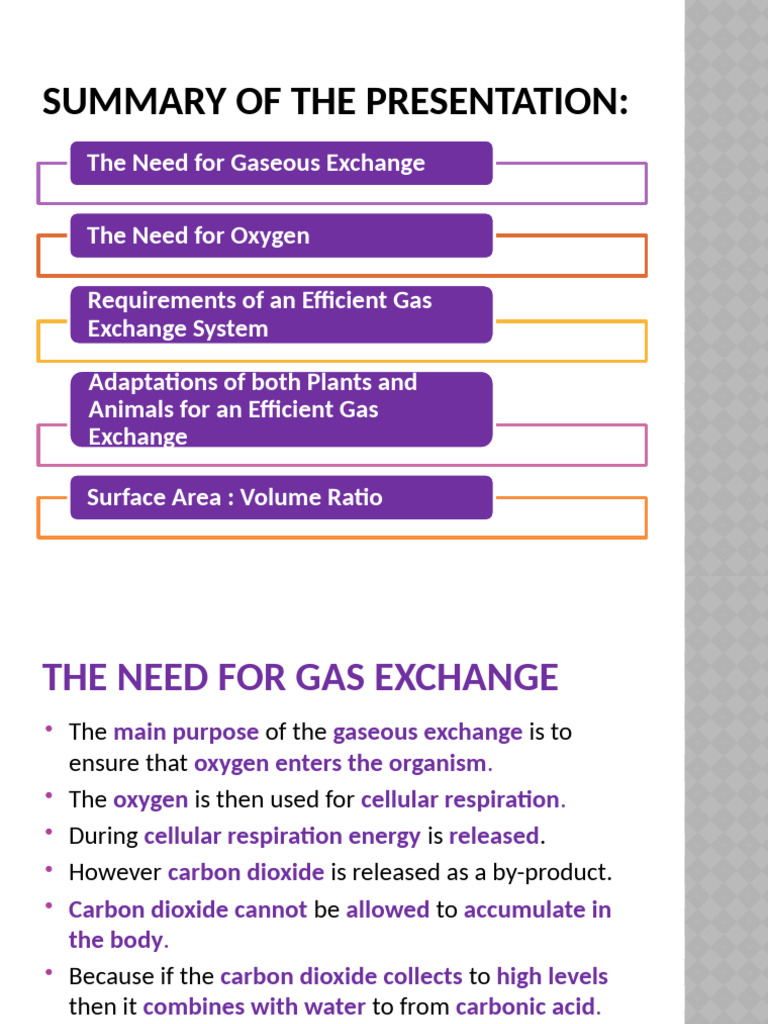 Efficient Gas Exchange in Organisms | PDF | Gill | Respiratory System