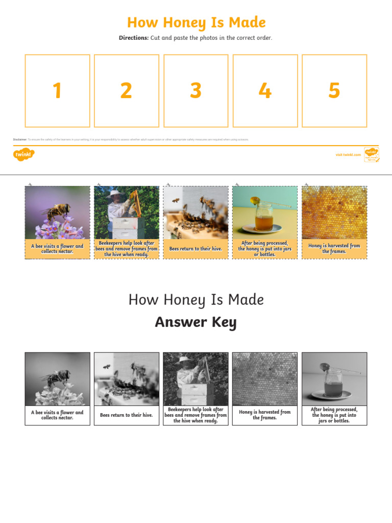 How Honey is Made Sequencing Cards Worksheet Ver 1 | PDF | Beehive | Honey