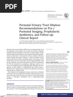 UTD Classification for Radiologists | PDF | Radiology | Urology