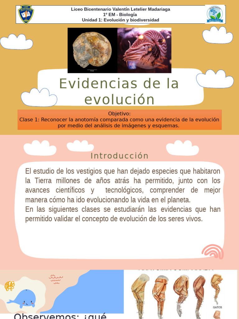 Clase 3 - Evidencias de La Evolución Ok | PDF | Evolución | Biología