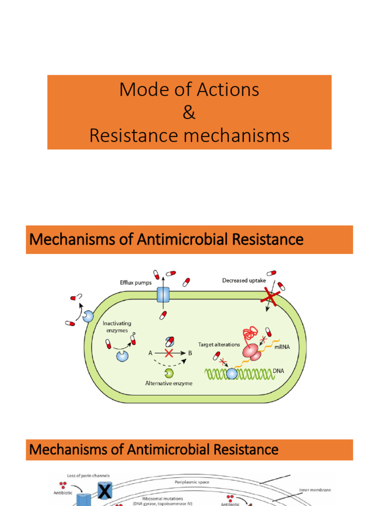 C3 (APPENDIX) Antibiotics and Resistance Mechanisms | PDF ...