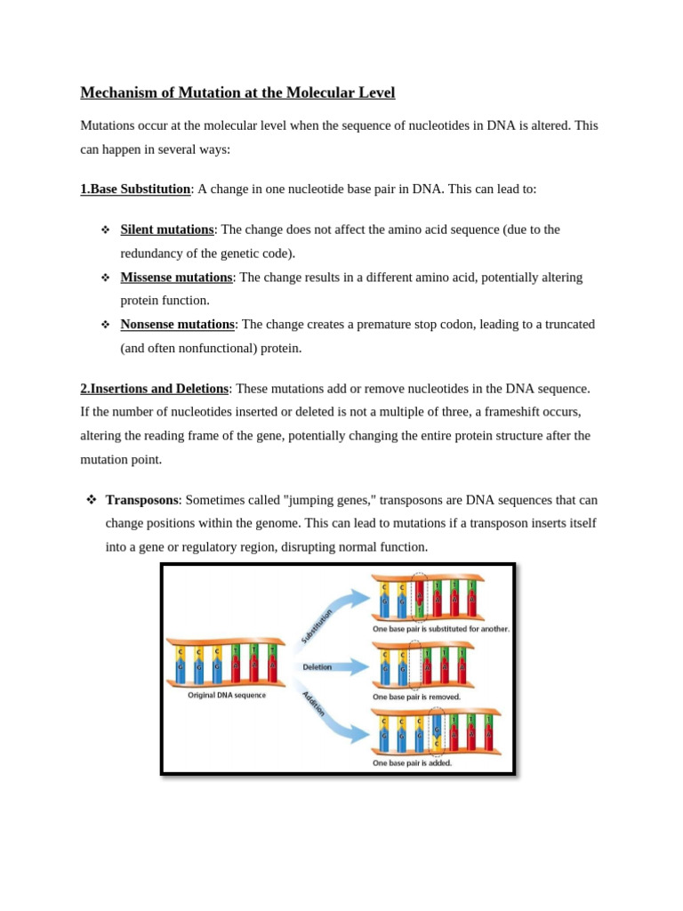 Mechanism of Mutation at The Molecular Level | PDF | Mutation | Dna Repair